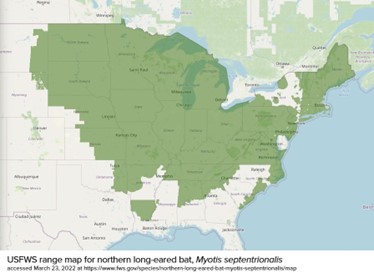 FLA Fights for Workable Solutions in Northern Long-eared Bat ...